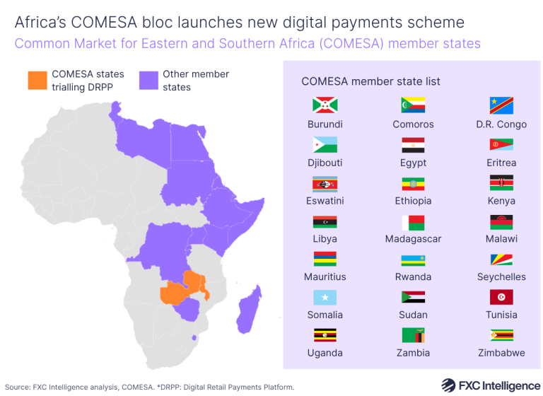 Africa continues moves to dedollarise with COMESA platform launch